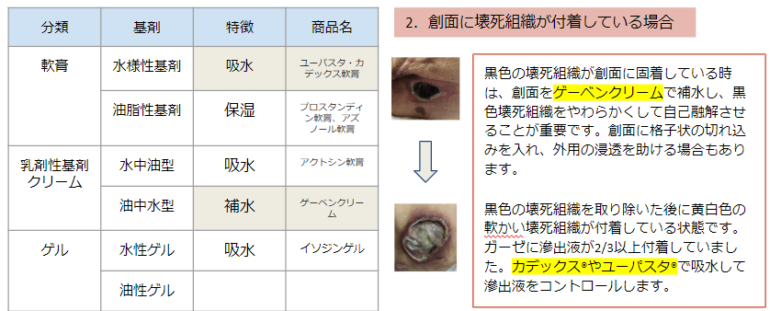 ～外用薬を選ぶときのコツ～月刊＊ファミクリWOCかわら版4月号_vol.30 | ファミリークリニック蒲田